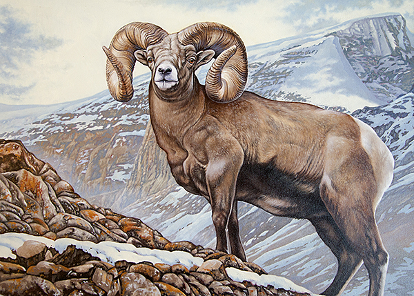2018 ODFW Habitat Conservation Stamp