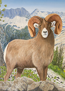 2020 ODFW Habitat Conservation Stamp